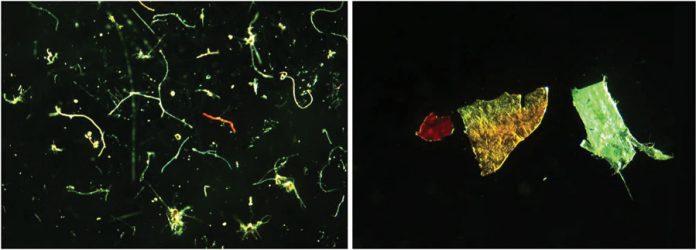 Microplastics & The Textile Industry | Textile World