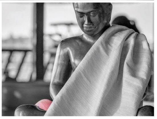 FIBER WORLD: Sustainable Alternative Plant Fibers for Textiles ...