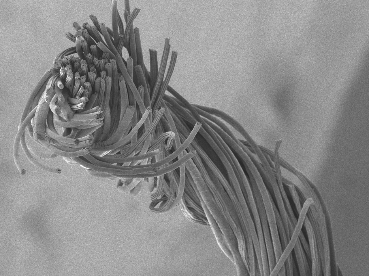 Teijin Frontier Develops OctaⓇ sf Spun Yarn Offering Exceptional ...