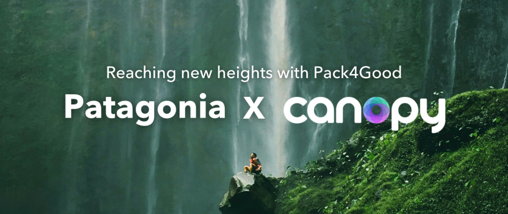 Patagonia Reaches New Heights In Their Sustainability Journey By ...