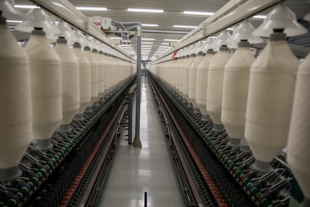 NATIVA™ Begins First Harvest Of Regeneratively Farmed Cotton In Greece ...