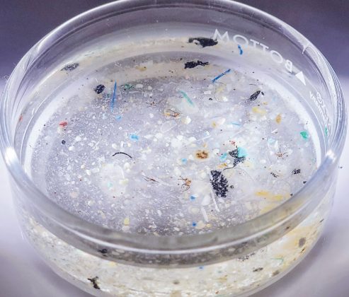 The Next Chapter In Microplastic Pollution | Textile World