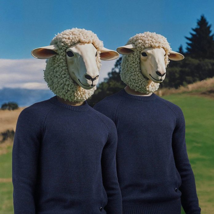 Sheep Inc. Secures £5 Million Series A investment To Transform The ...